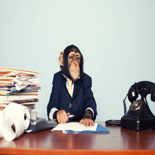 Desk Flow Mobility Bundle – I'm Hurt Now What Shop